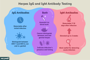HERPES SIMPLEX 1+2 VIRUS ( HSV), ANTIBODIES PANEL, IGG & IGM, SERUM ...